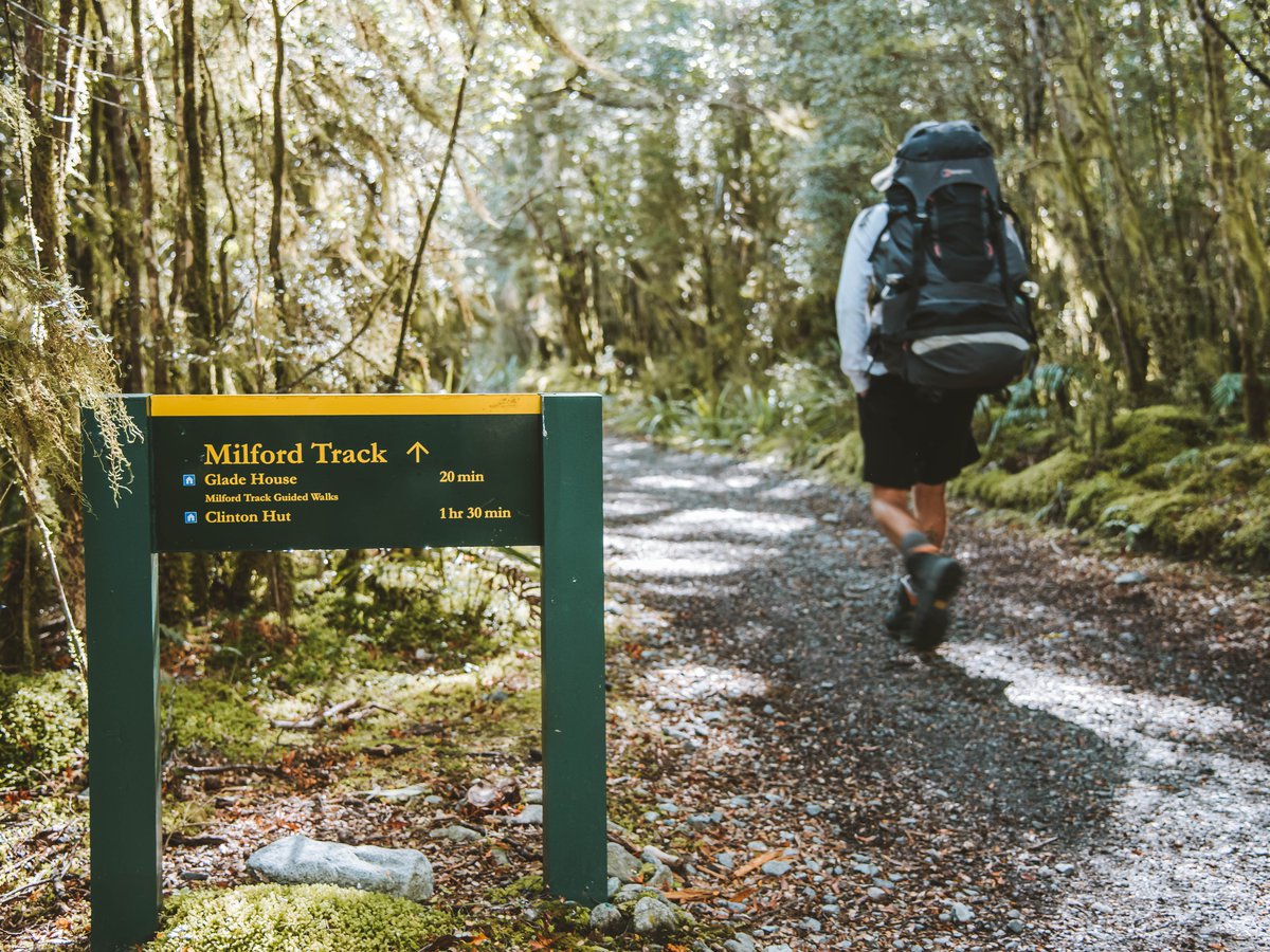 Milford Track Day Walk Options | Fiordland Outdoors